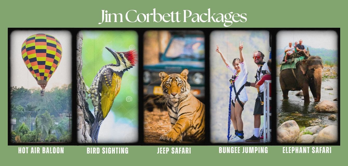 Jim Corbett Packages Offers Best Jim Corbett Tour Packages